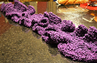 Ravelry: SillyNMknitaholic's Purple Sea Flat Worm scarf