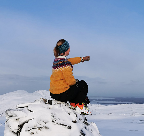 Ravelry: Topptur genser pattern by Siri Veiseth