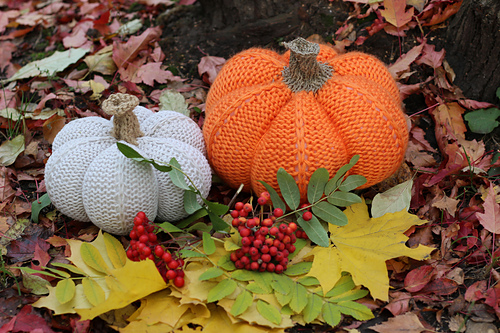 Ravelry: Pumpkins pattern by Ira Storozhenko