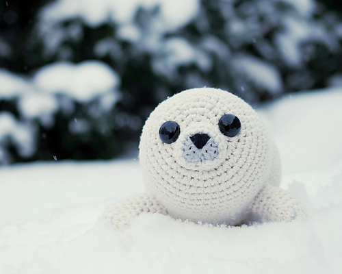Ravelry: Bubbly the Baby Seal pattern by Maarja Härsing-Värk