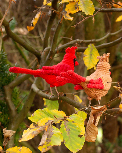 Ravelry: Northern Cardinal pattern by Stella Taubenheim