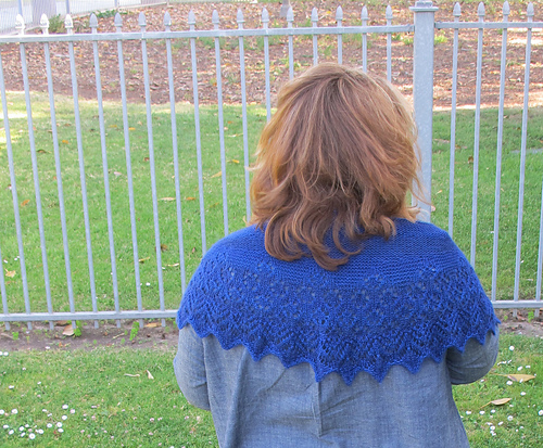 Ravelry: Scrub Jay pattern by Stephannie Tallent
