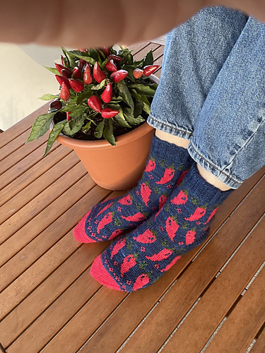 Ravelry: Spicy Socks pattern by Stone Knits