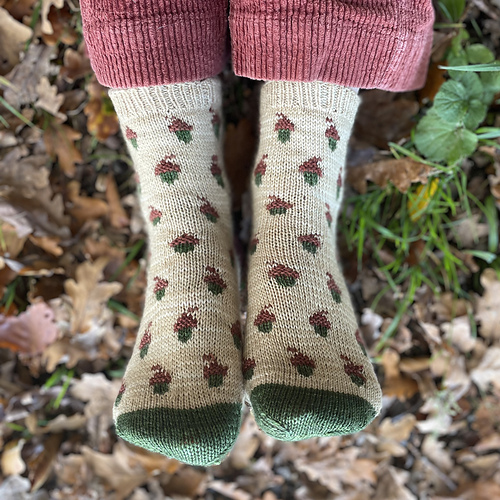 Ravelry: Forever Autumn sock set pattern by Stone Knits