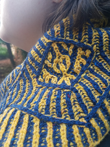 Ravelry: Hidden Forest Shawl pattern by Jenn Lampen