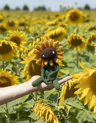 Ravelry: Sunflower pattern by TOFT UK