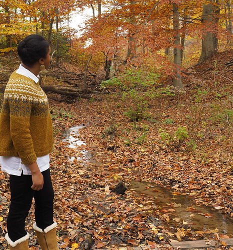 Ravelry: Retrograde pattern by Tamy Gore