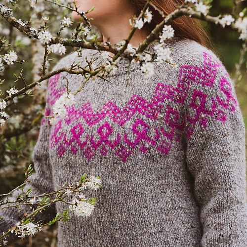 Ravelry: Velez sweater pattern by Tania Barley