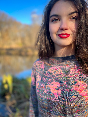 Ravelry: Lisa Appreciation Pullover pattern by Tanis Gray