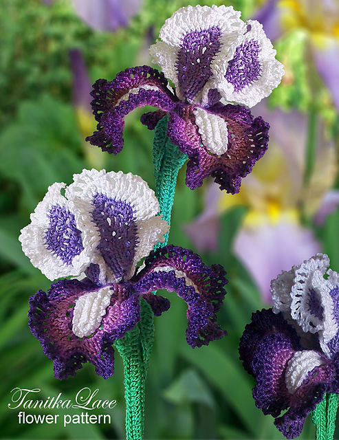 Ravelry: Tashatan740's Iris flower Crochet pattern