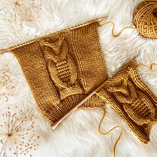 Ravelry: Creepy Owl Cardigan pattern by Melanie Reinert