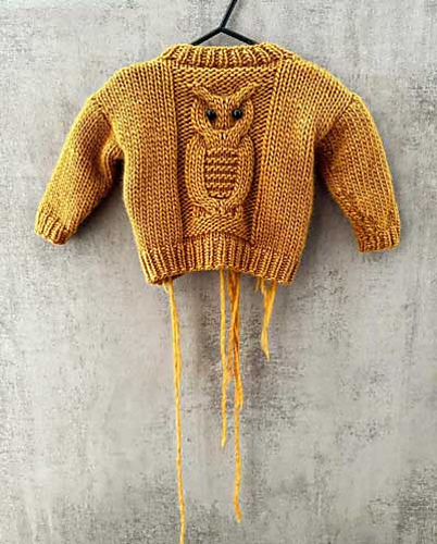 Ravelry: Creepy Owl Cardigan pattern by Melanie Reinert