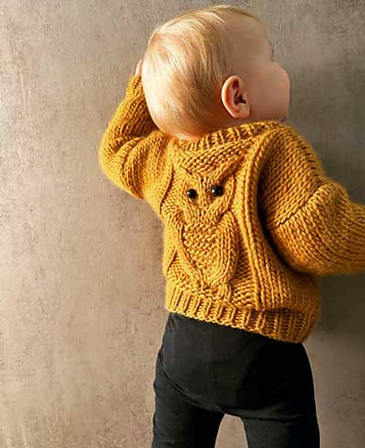 Ravelry: Creepy Owl Cardigan pattern by Melanie Reinert