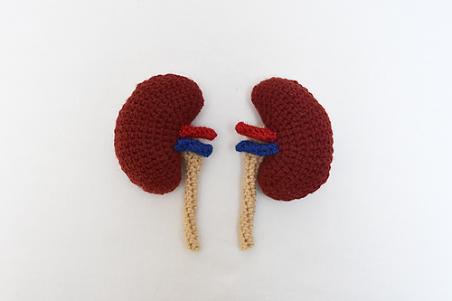 Ravelry: Kidneys pattern by Joyce Overheul