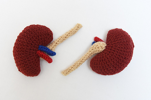 Ravelry: Kidneys pattern by Joyce Overheul