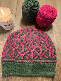 Ravelry: Rise Up Beanie pattern by Kim Bussell | The Grateful Sheep