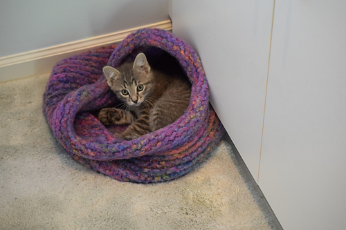 Ravelry: Cat Cuddler pattern by Juliane Anderson