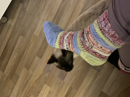 My First Socks - Sprocket Socks (or the Perfect Scraps Project) : r ...