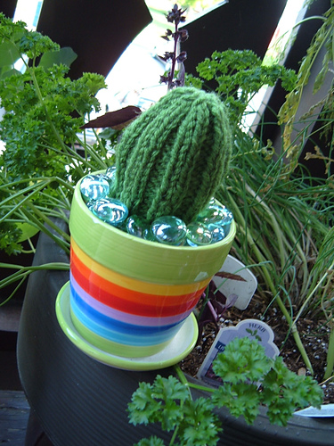 Ravelry: Easy-Care Cacti pattern by Carol Meldrum and Julie Marchington