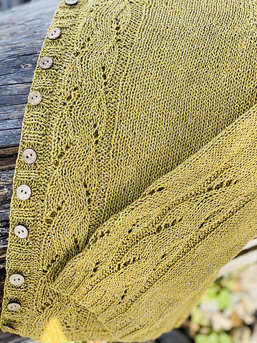 Ravelry: Ren pattern by Tonia Barry