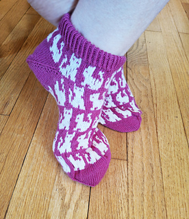 Ravelry: Tale of Two Kitties Shorty Socks pattern by Sherrie Kibler