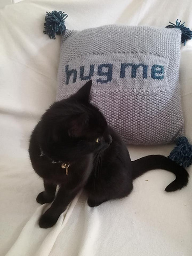 Ravelry: Cuddle Cushion pattern by Torya Winters