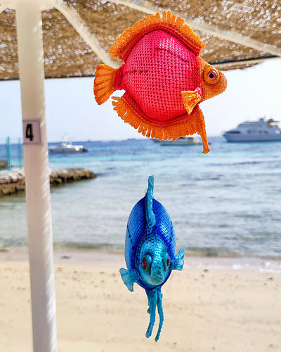 Ravelry: Discus fish pattern by Abdullina Kseniya