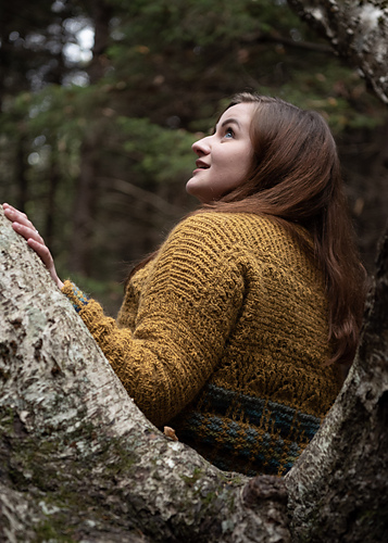 Ravelry: Blue Mountains of the North pattern by Heather Anne Heitz