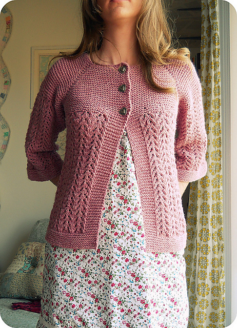 Ravelry: TraceyNicole's finish by february