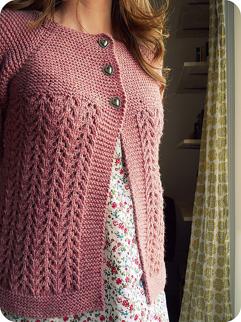 Ravelry: TraceyNicole's finish by february