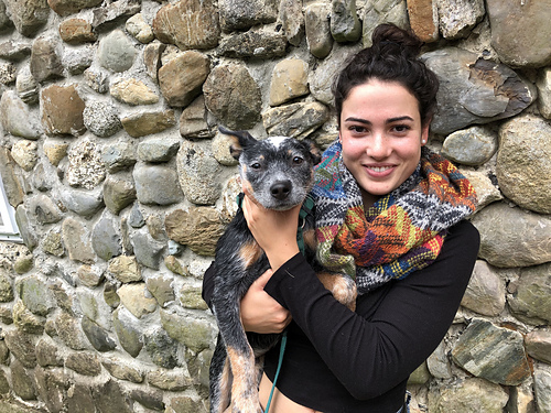 Ravelry: Na Séasúir pattern by Mary O'Shea