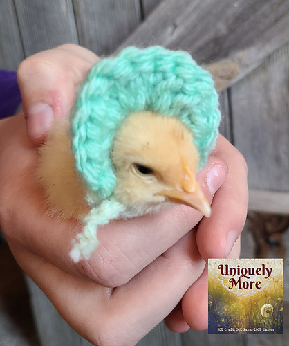 Ravelry: Sunday Bonnet for Chickens pattern by Uniquely More