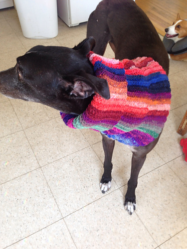 Ravelry: greyhound snood pattern by Katherine Mills