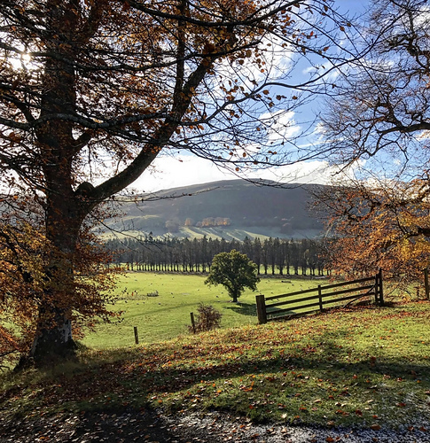 Ravelry: The Blair Atholl Blanket pattern by Marion Mitchell