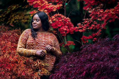 Ravelry: Broadleaf pattern by Wool & Pine