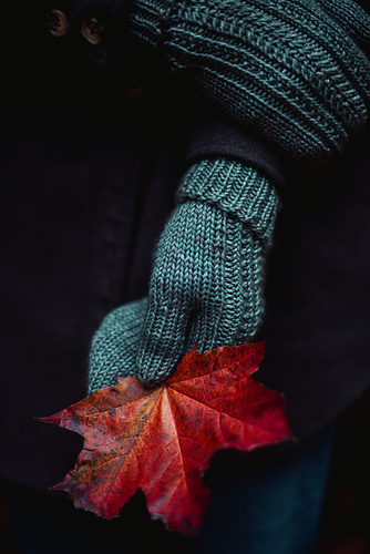 Ravelry: Copenhagen Mittens pattern by Wool & Pine