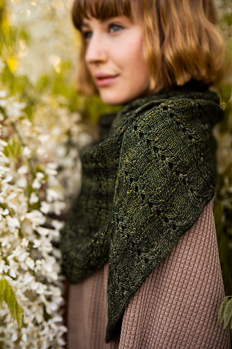Ravelry: Dunedrifter Shawl pattern by Wool & Pine