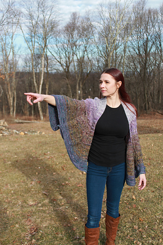 Ravelry: Fallow Fields Shweater pattern by Liz Capik