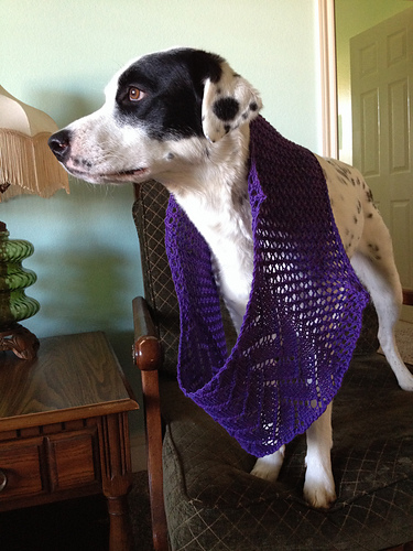 Ravelry: Flemish Block Cowl pattern by Gretchen Tracy
