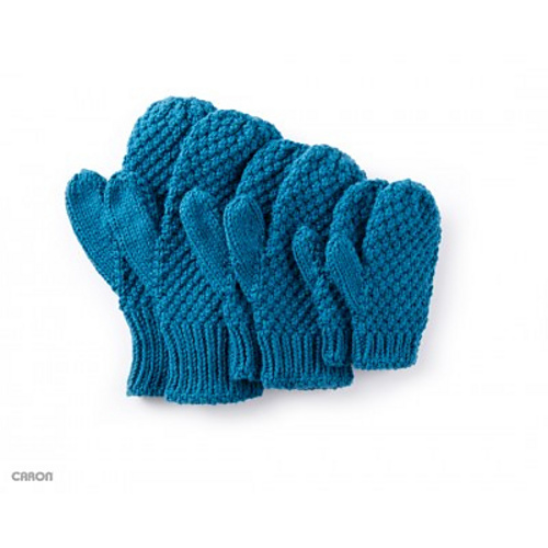 Ravelry: Textured Family Mittens pattern by Yarnspirations Design Studio
