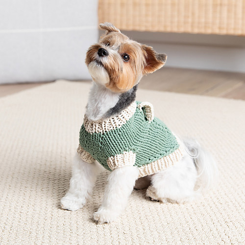 Ravelry: Classic Sweater for Dogs pattern by Yarnspirations Design Studio