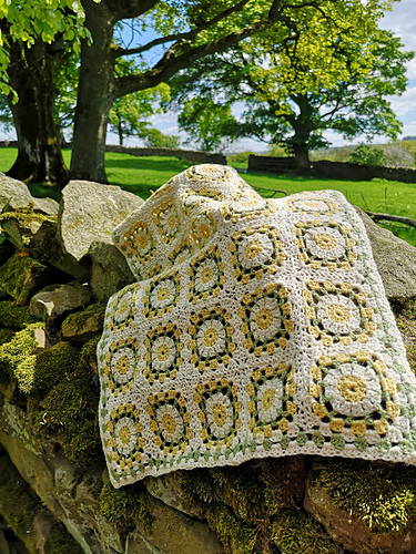 Ravelry: The Daisy Meadow Baby Blanket pattern by Samantha Webb