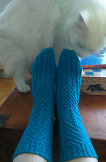 Ravelry: Zoei's Shazbat