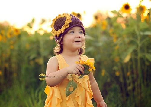 Ravelry: Sunflower & Poinsettia Beanie pattern by Amanda Barile