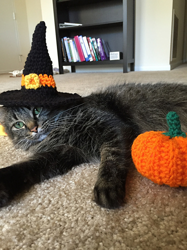 Ravelry: Halloween Cat Witch Hat pattern by Abbey Jackson