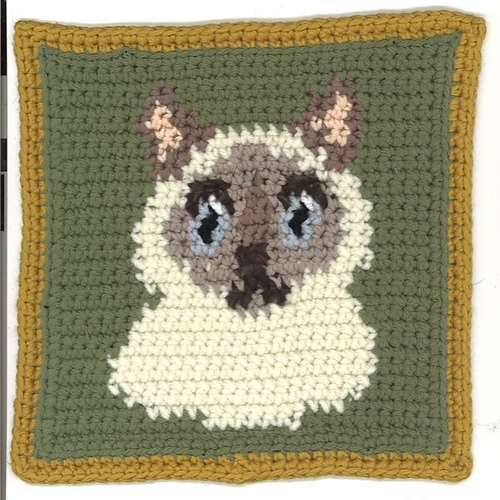 Ravelry: Purrfect Portrait pattern by Aidan Wells