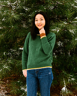 Ravelry: Coloring Book Raglan pattern by Aimee Sher