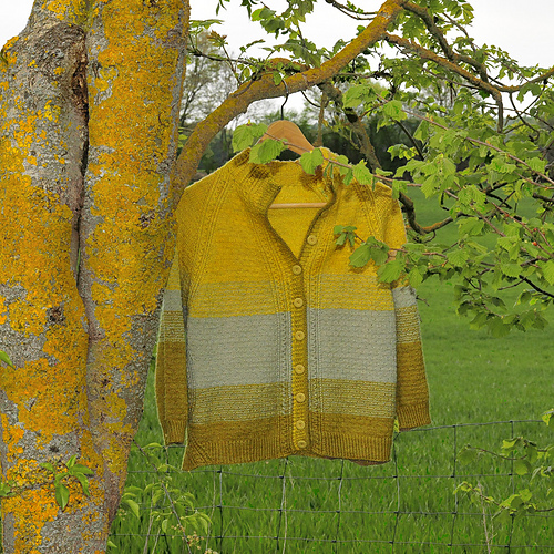 Ravelry: mirasol pattern by alfa knits
