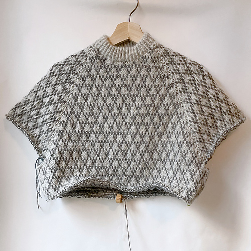 Step 1: Yoke—Cast on 51 sts : r/knitting