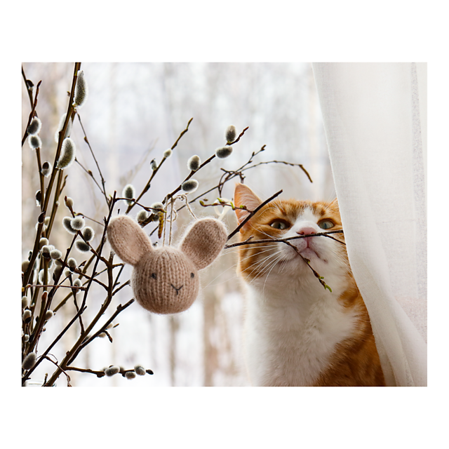 Ravelry: Noel Rabbit/Easter Bunny pattern by Elena Alexeeva